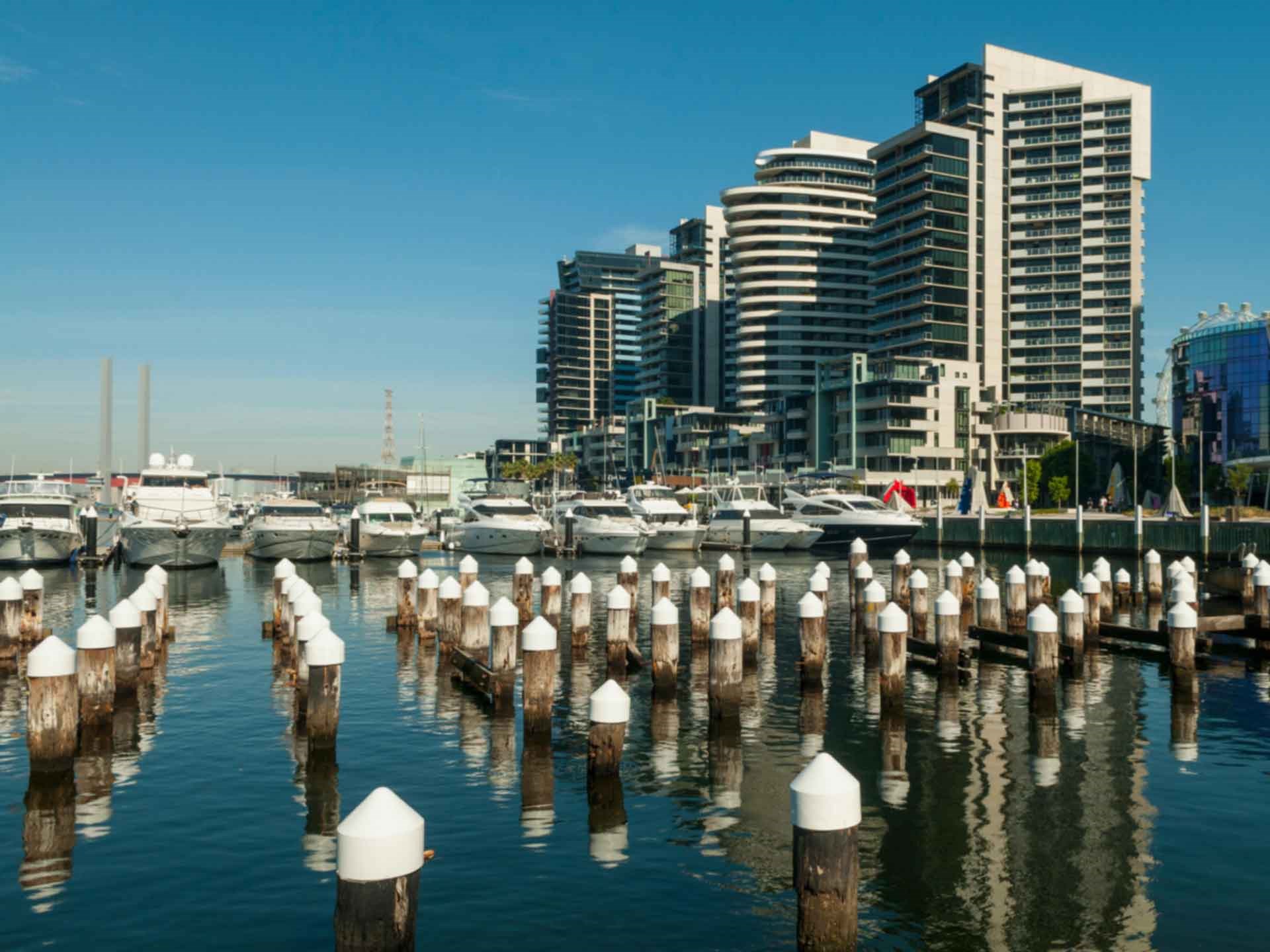 Development Victoria - Alto Cibum